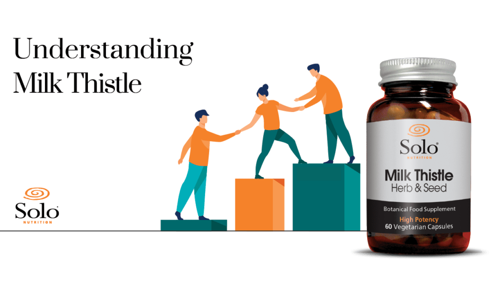 Understanding Milk Thistle - Solo Nutrition